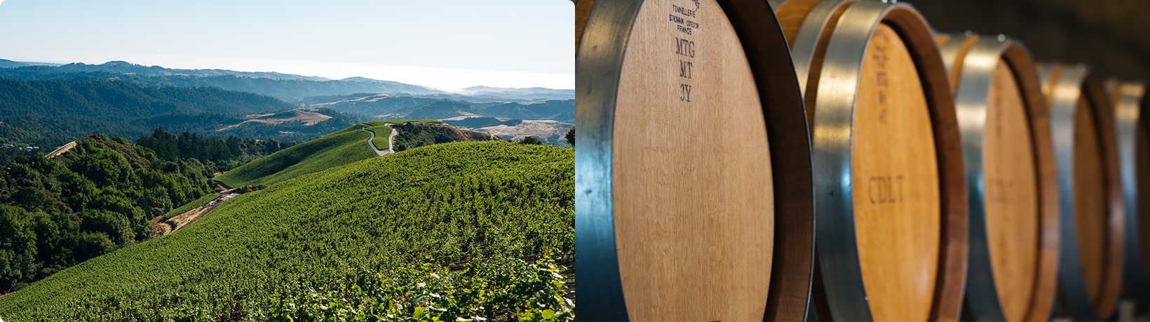 List Of States We Ship To - Clos De La Tech